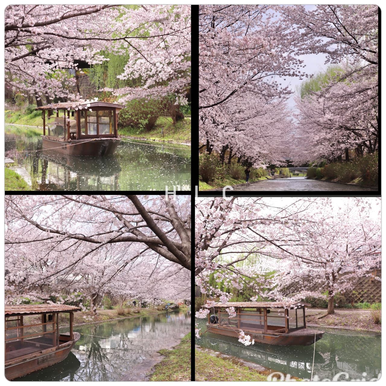 big camera 相機 的相關討論與真實心得｜Dcard