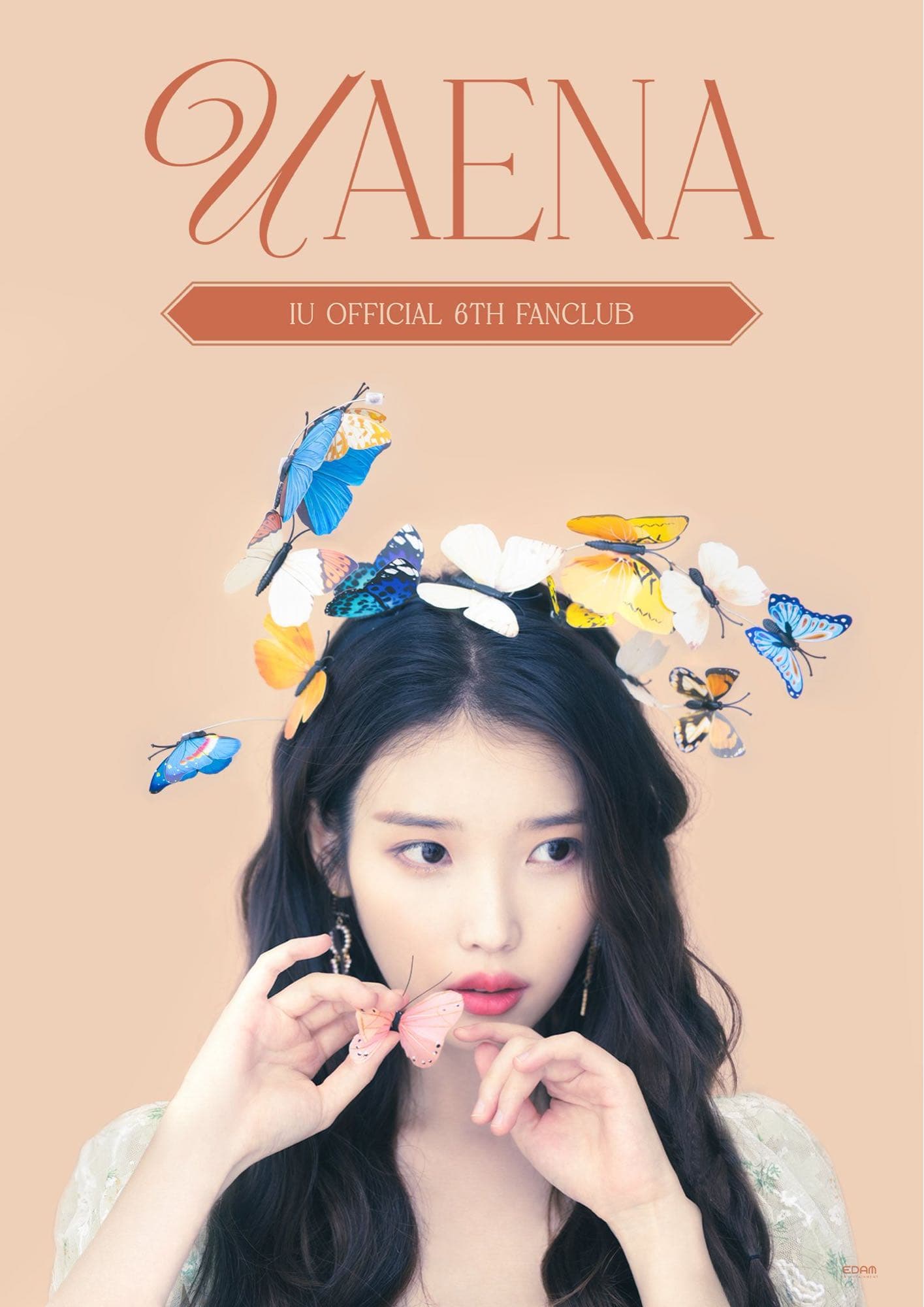 #分享 第6期招募公告 - IUAENA板 | Dcard