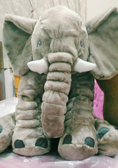 超萌大象🐘我已融化💗 - B40 留言 | Dcard