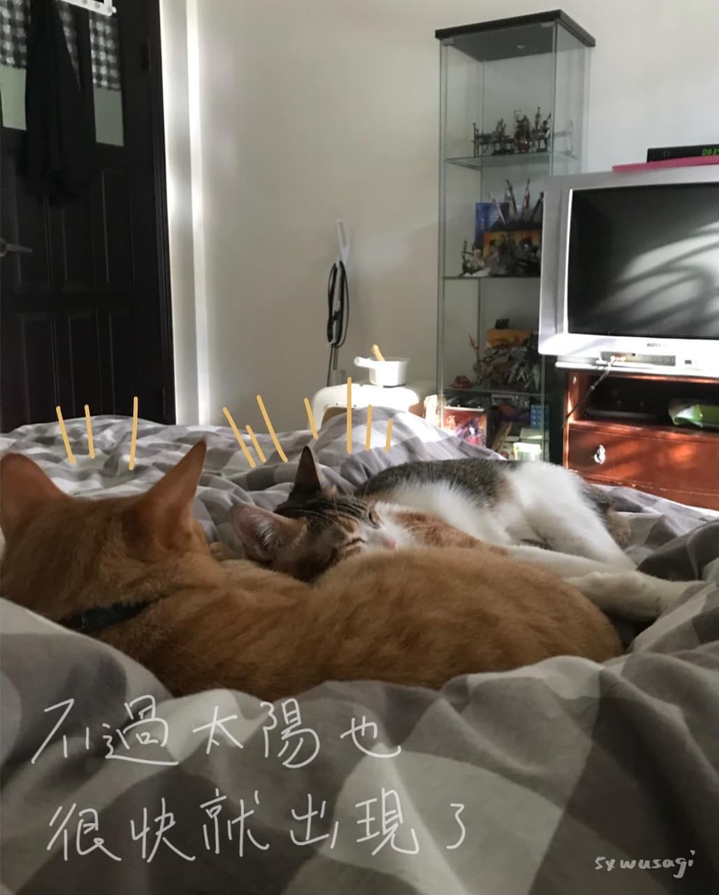 夢🐰 - 兔級廚師 (@wusagi) | Dcard