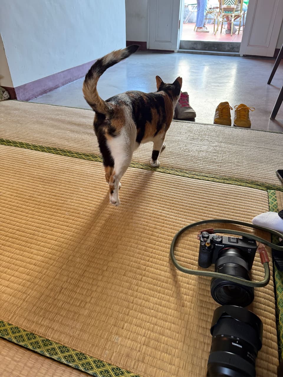 #國內遊記 高雄—平日午後的愜意散策 - 旅遊板 | Dcard