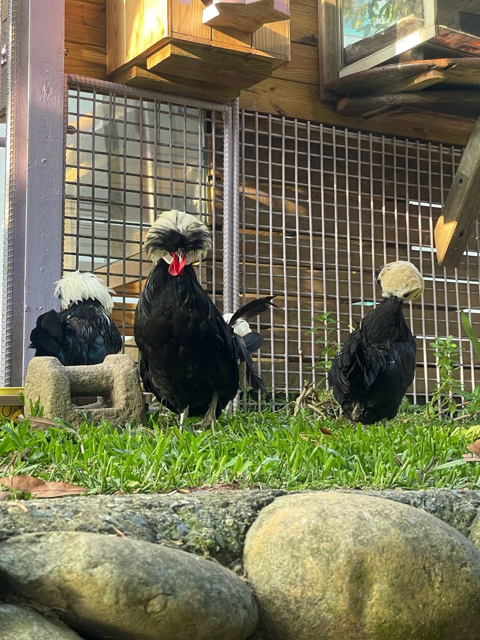 廢廢的30代約會行程 EP.7_比想像中還好玩的南投 - 柯夢波丹 (@cosmostalk) | Dcard