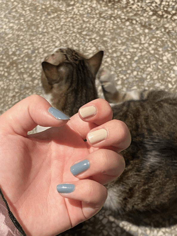 Solone指甲油油畫系列P05、P09、P15開箱 - 美妝板 | Dcard