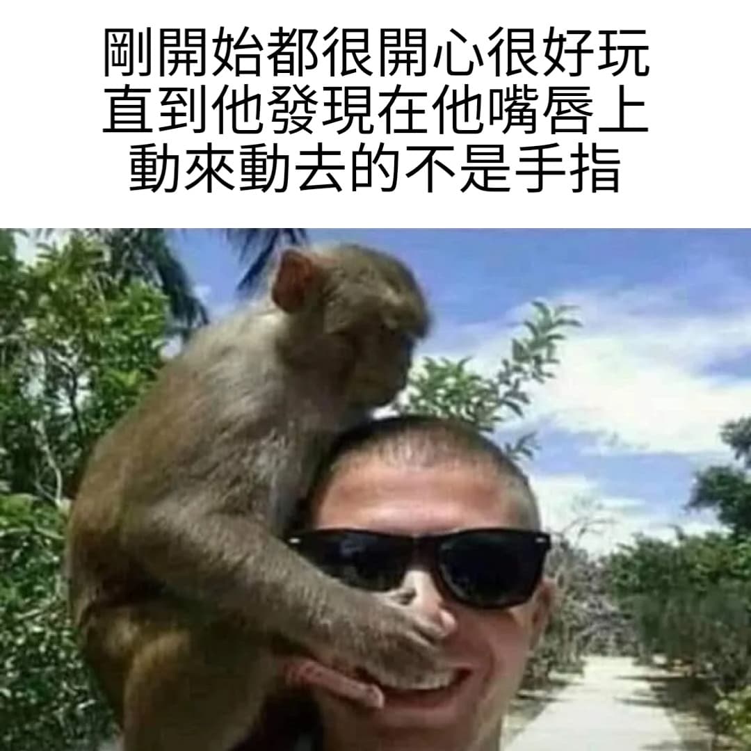 友善的猴子 - 梗圖板 | Dcard