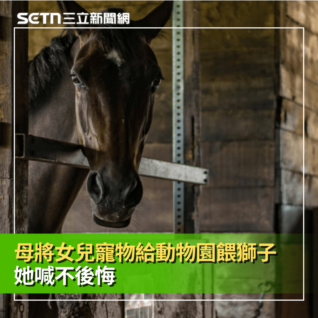 震驚！母將「女兒的寵物」捐給動物園餵獅子 她喊不後悔 - SETN三立新聞網 (@setn54) | Dcard