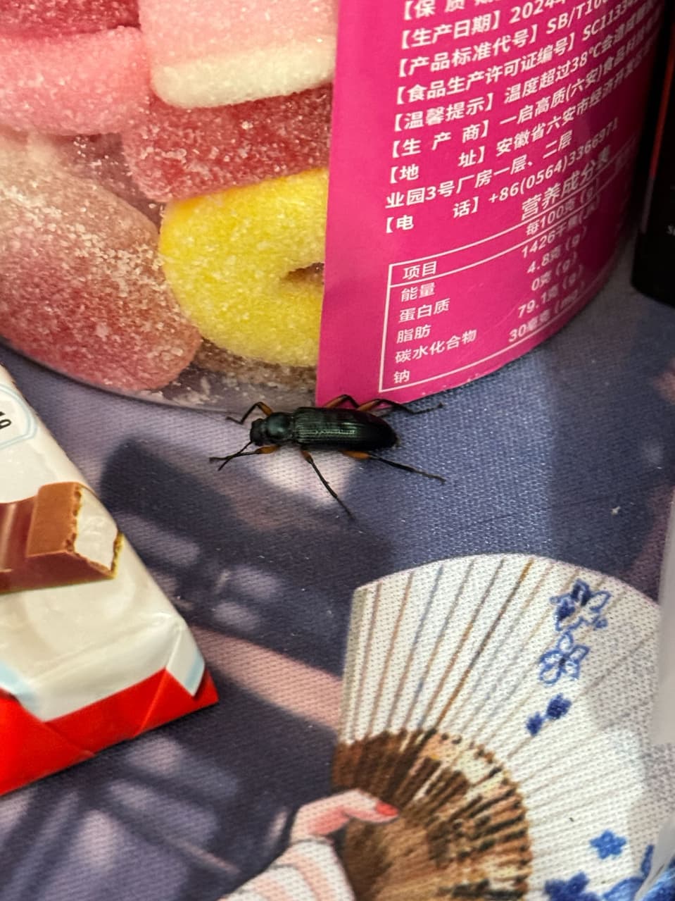 請益 請問這是什麼蟲子 昆蟲板 Dcard