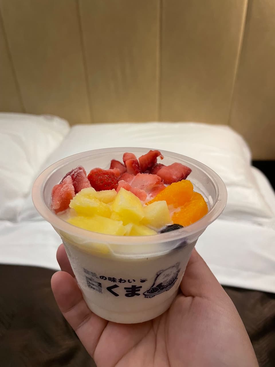 #國外 九州自駕遊Day5 - 旅遊板 | Dcard