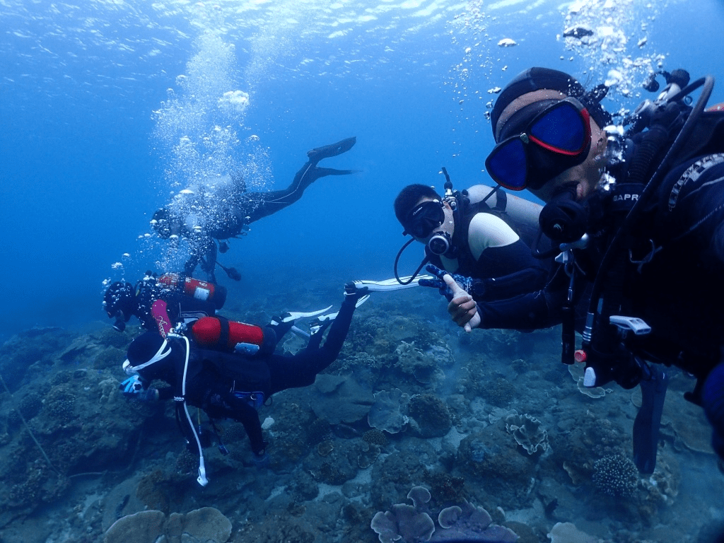【澎湖潛水推薦】體驗 Fun Dive 考照前必看，4 間澎湖水肺潛水店評比🤿 - 七分之二的探索 (@twosevenths72) | Dcard