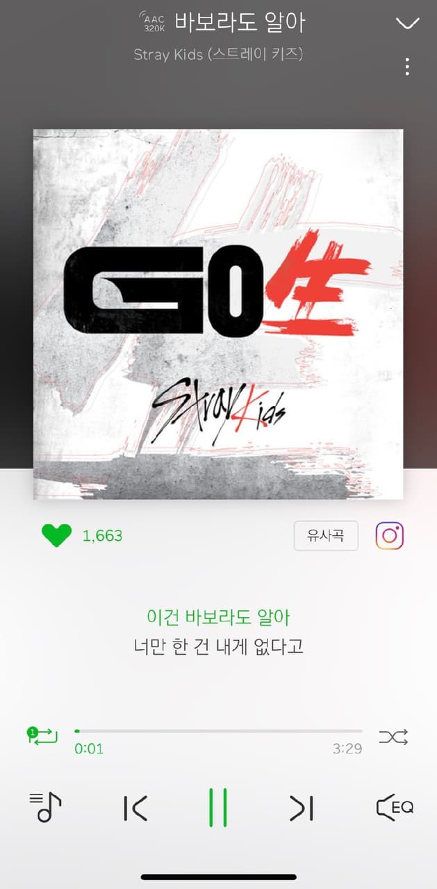 遨遊於這片漆夜 | Stray Kids - "Easy"🤙🏻 - B477 留言 | Dcard