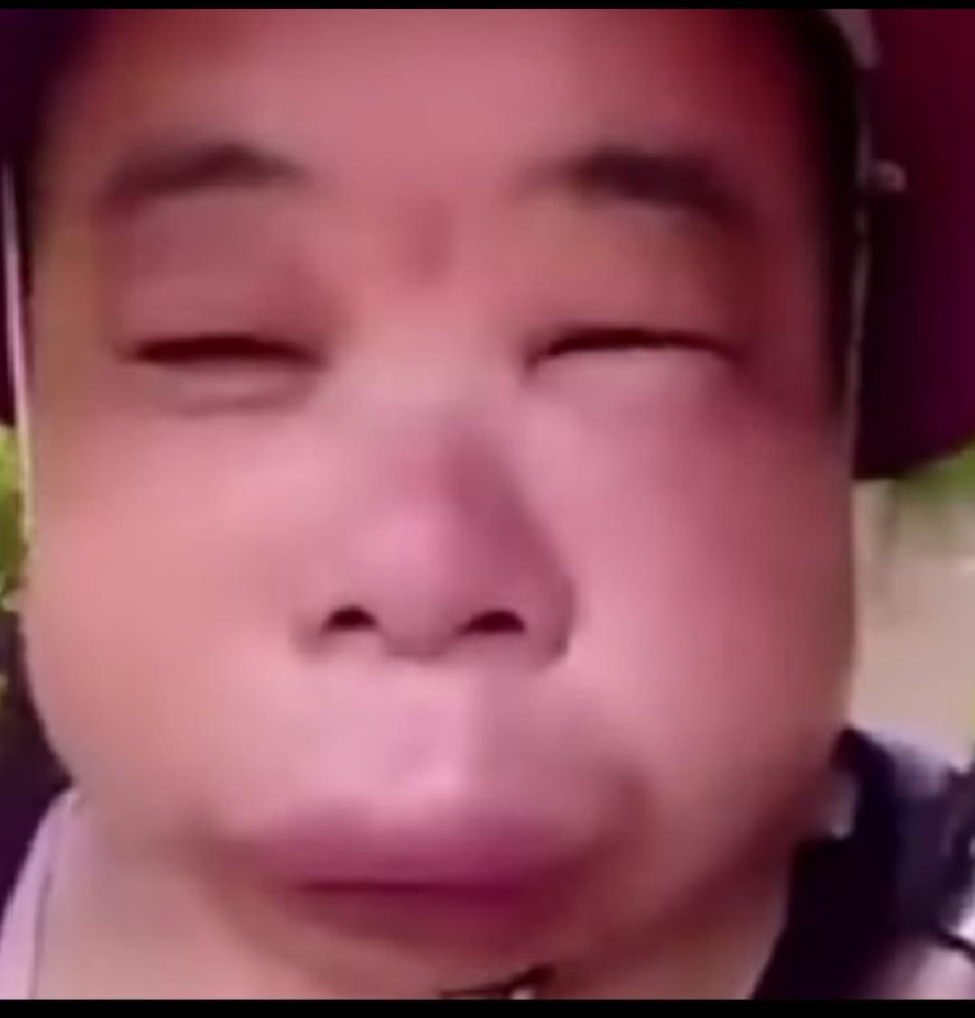 又分科了嗎 - 劉詩詩粉1 (@shiiin_pa) | Dcard