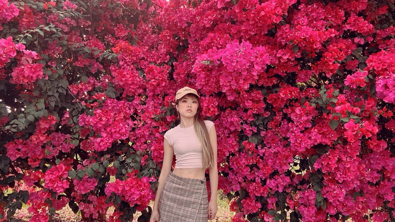 已經不是秘境的九重葛花牆 - 凡妮99 (@vs99) | Dcard