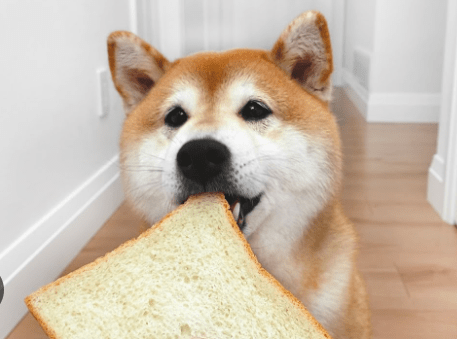 數位IC、EDA研究所選擇請益(不刪文) - 科技業板 | Dcard