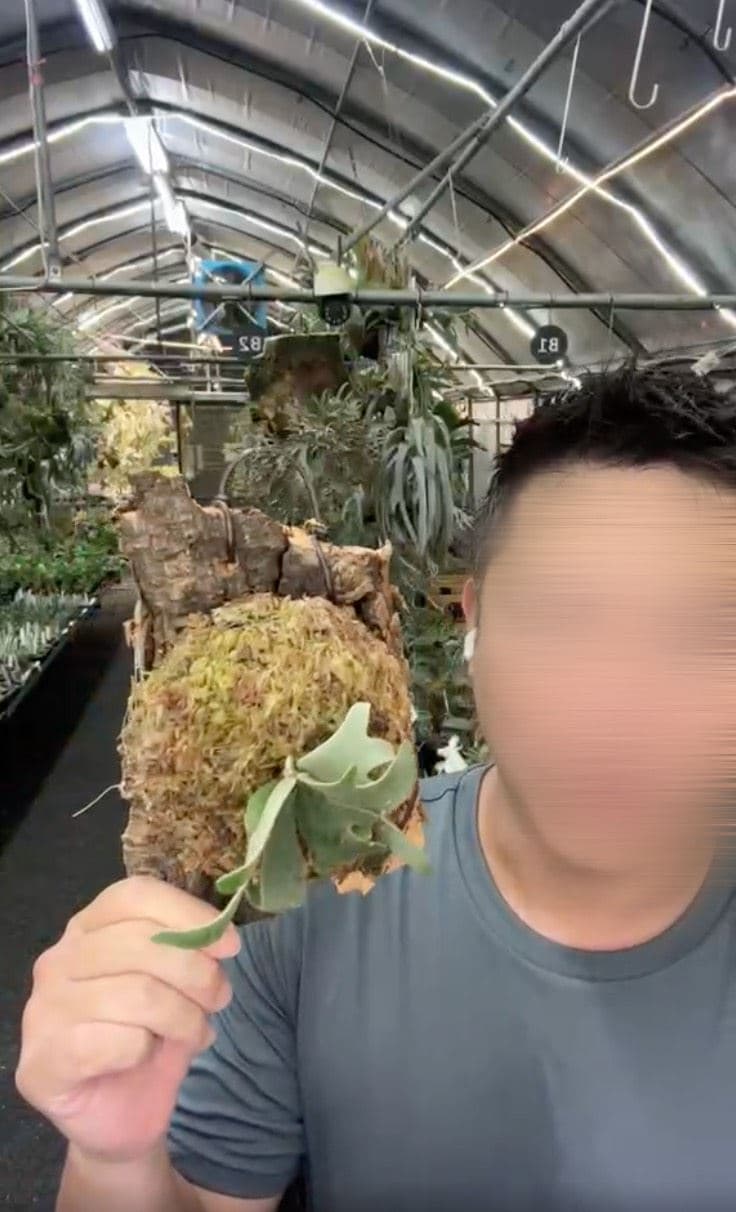 女客瘋狂追求「匯95次1元」備註：對你沒愛！帥老闆崩潰提告 結果曝光 - SETN三立新聞網 (@setn54) | Dcard