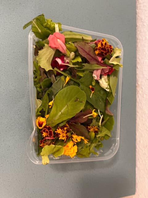 台灣物價很高，人民難以生存，中產很慘，貧富差距大 - B22 留言 | Dcard