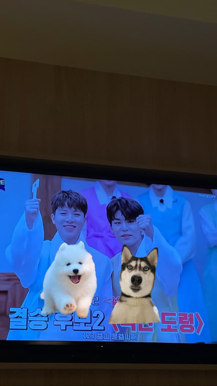 #分享 Treasure大阪巨蛋演唱會後記 - YG FAMILY板 | Dcard