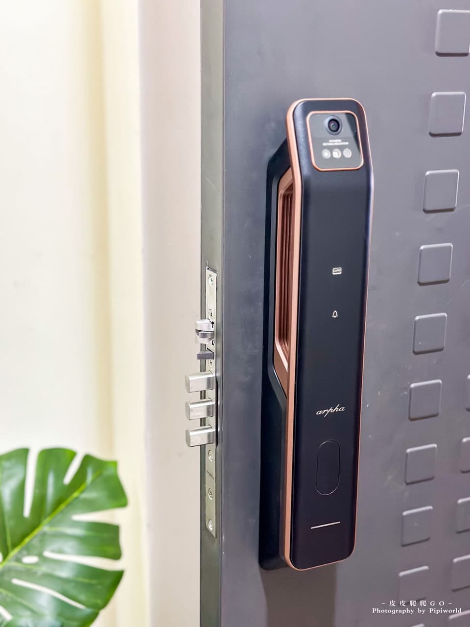 剛裝完這台智能電子鎖我就後悔了 - 皮皮兒(ꈍᴗꈍ)♡ (@pp_52028) | Dcard