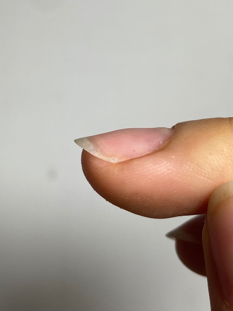 黑特 問題 卸甲卸過頭? 美甲板 Dcard