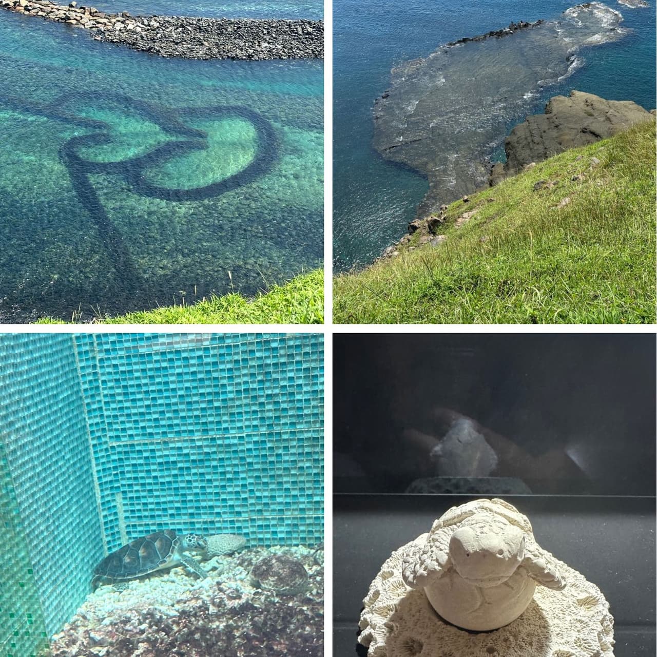 「澎湖行程三天」的文章搜尋結果 | Dcard