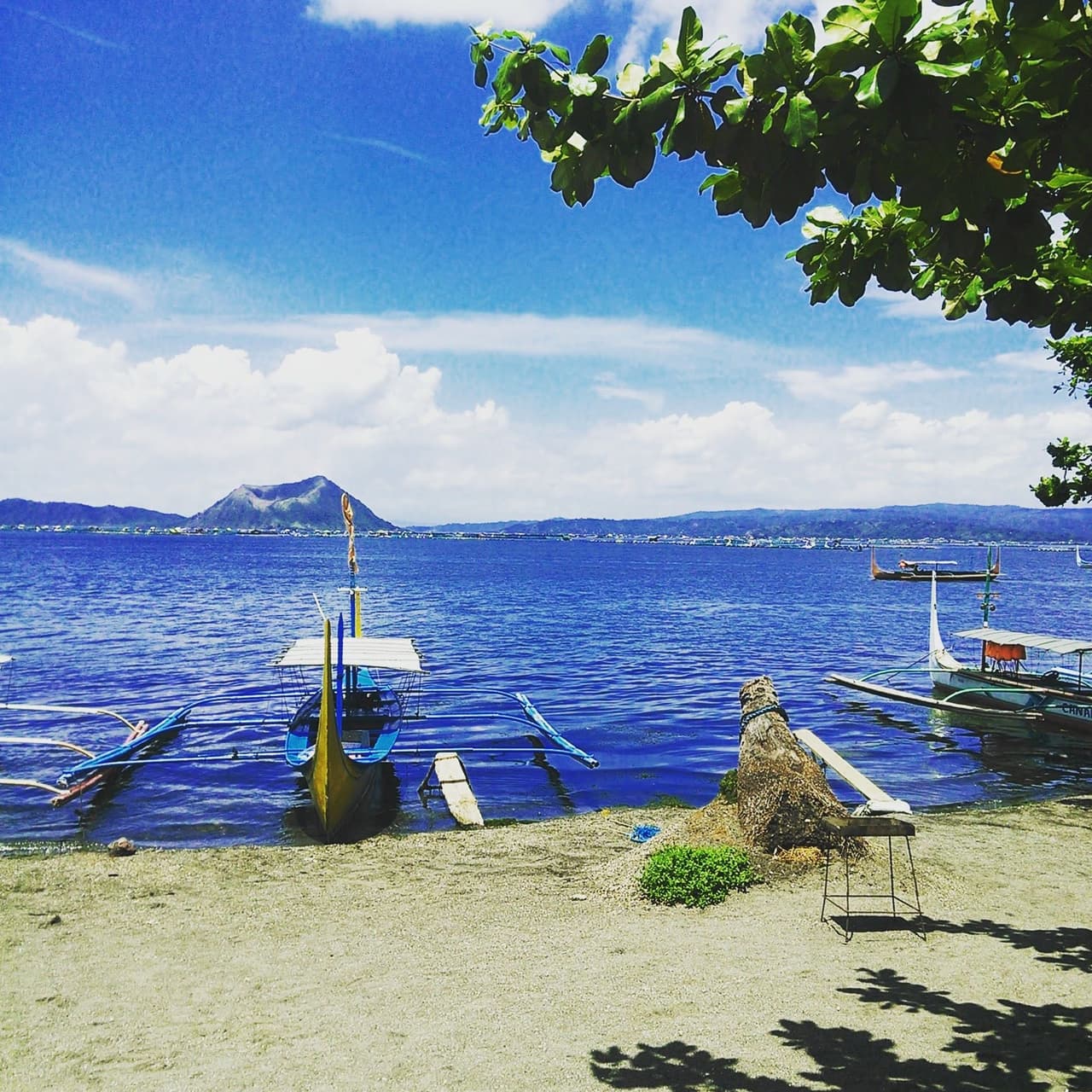 #新鮮事調查局 十點你想像不到的菲律賓 - 麗莎 Lisa (@imsunshine) | Dcard