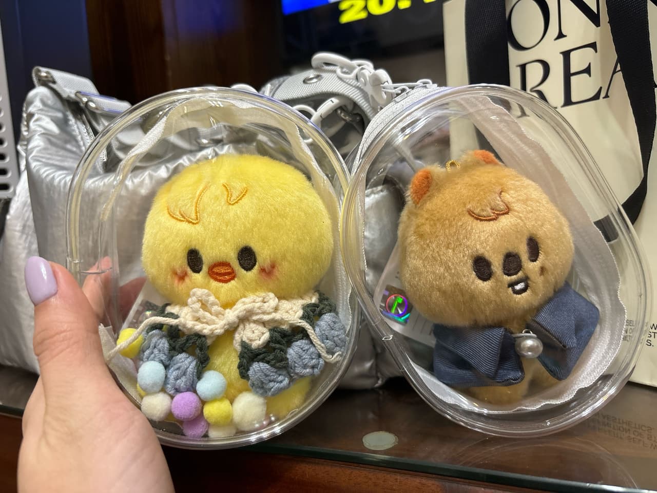 #詢問 大家都如何帶skzoo出門 - Stray Kids板 | Dcard