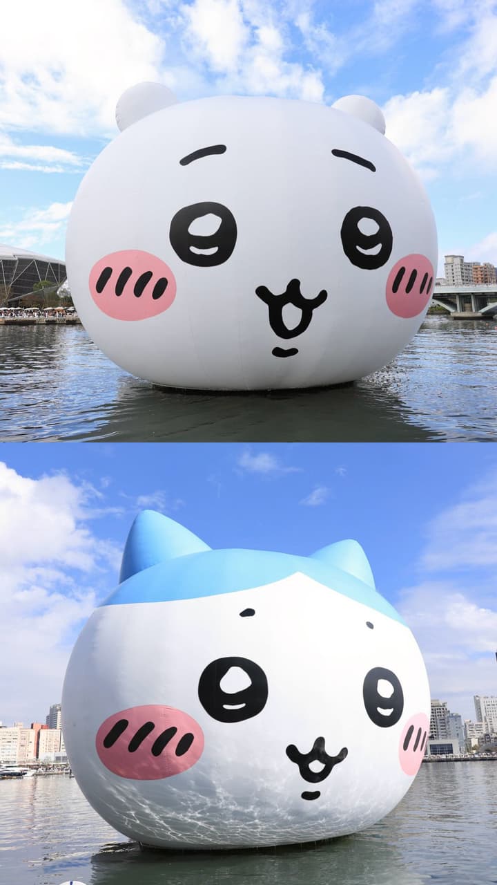 蛤 - 雞腿小公主 (@rei_1998) | Dcard