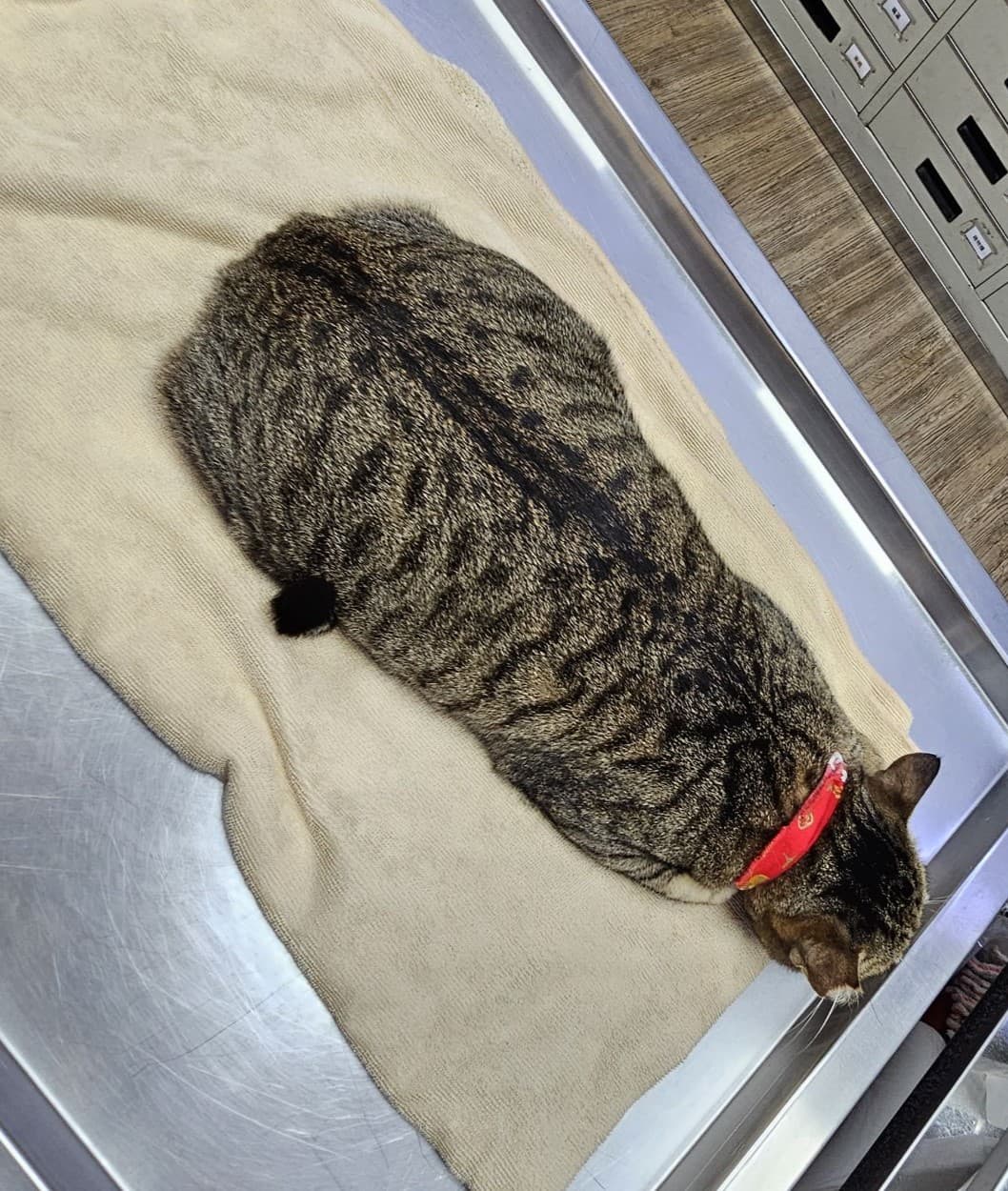 被「愛媽」告侵佔（文長） - B91 留言 | Dcard