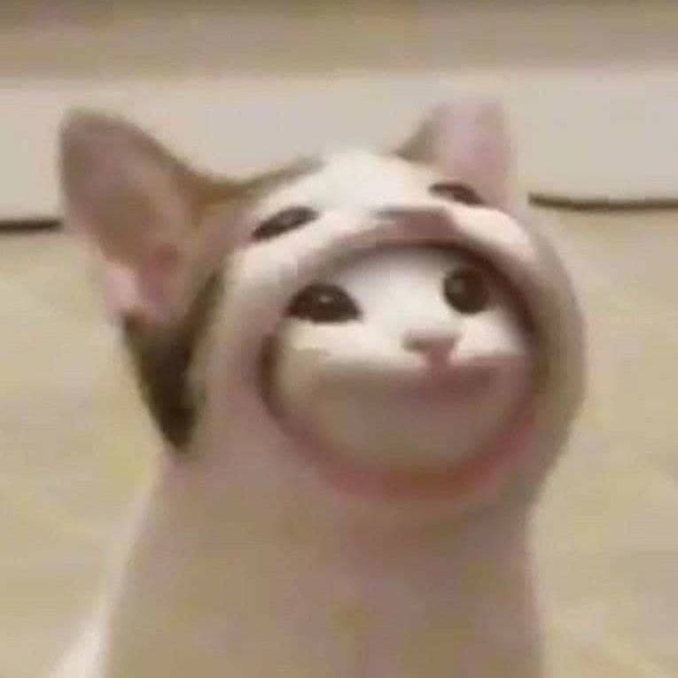 RY (@codydu39) | Dcard