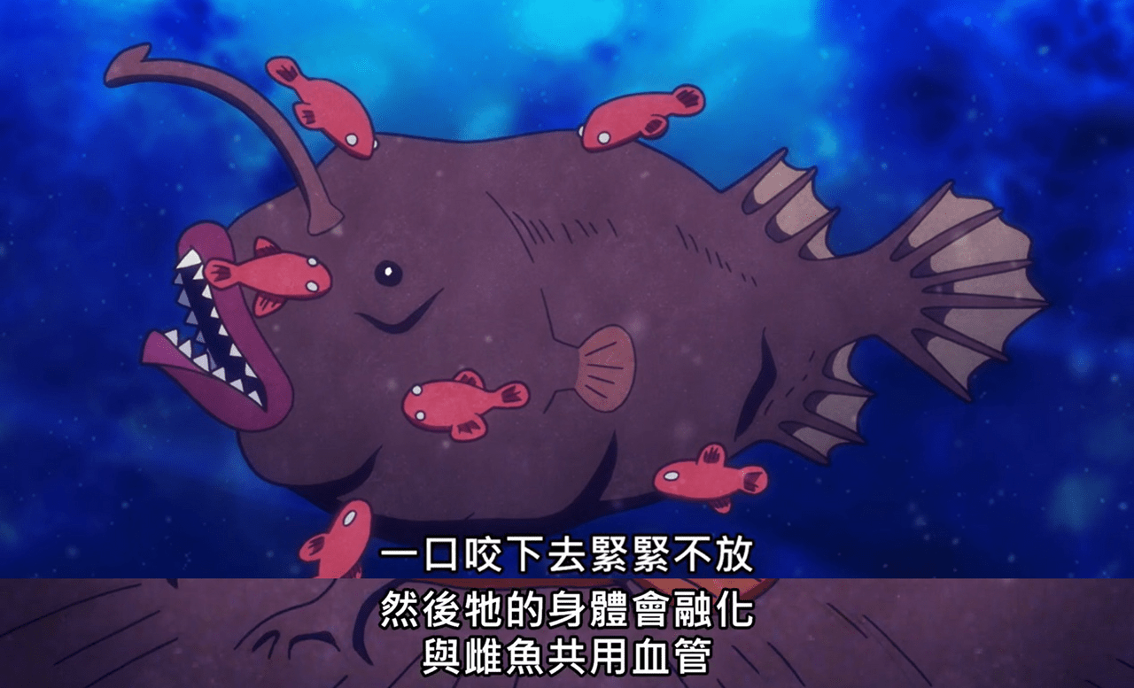 #自然科學 《萌萌生物關係圖鑑》——Iris Gottlieb - 書籍板 | Dcard