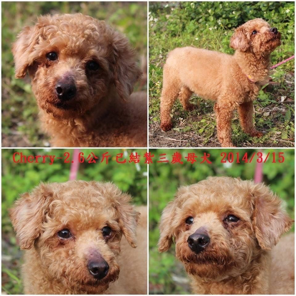 我們是彼此的太陽，找回了自己的光 - 月薪焦妻🌼 (@lynnyu_22) | Dcard