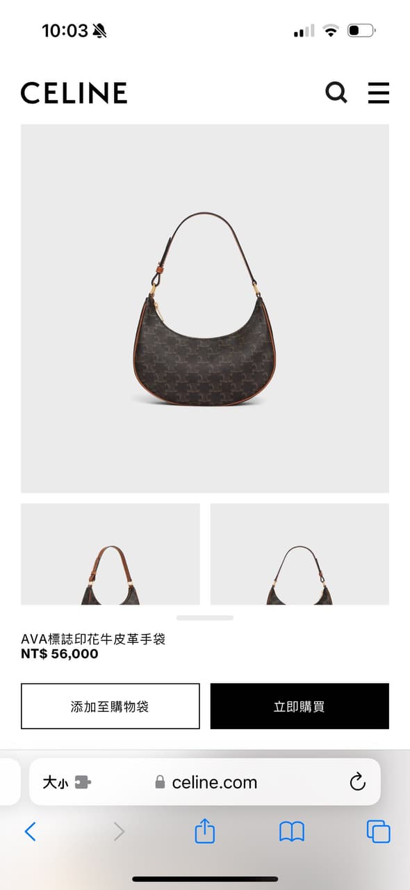 #我要賣 Celine TRIOMPHE帆布 AVA腋下包(中款） - 二手交易板 | Dcard