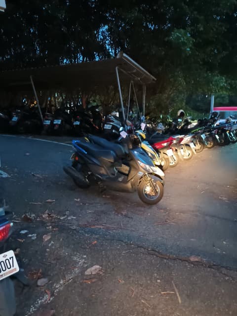 🐒🐒🐒 - 陽明交通大學板 | Dcard