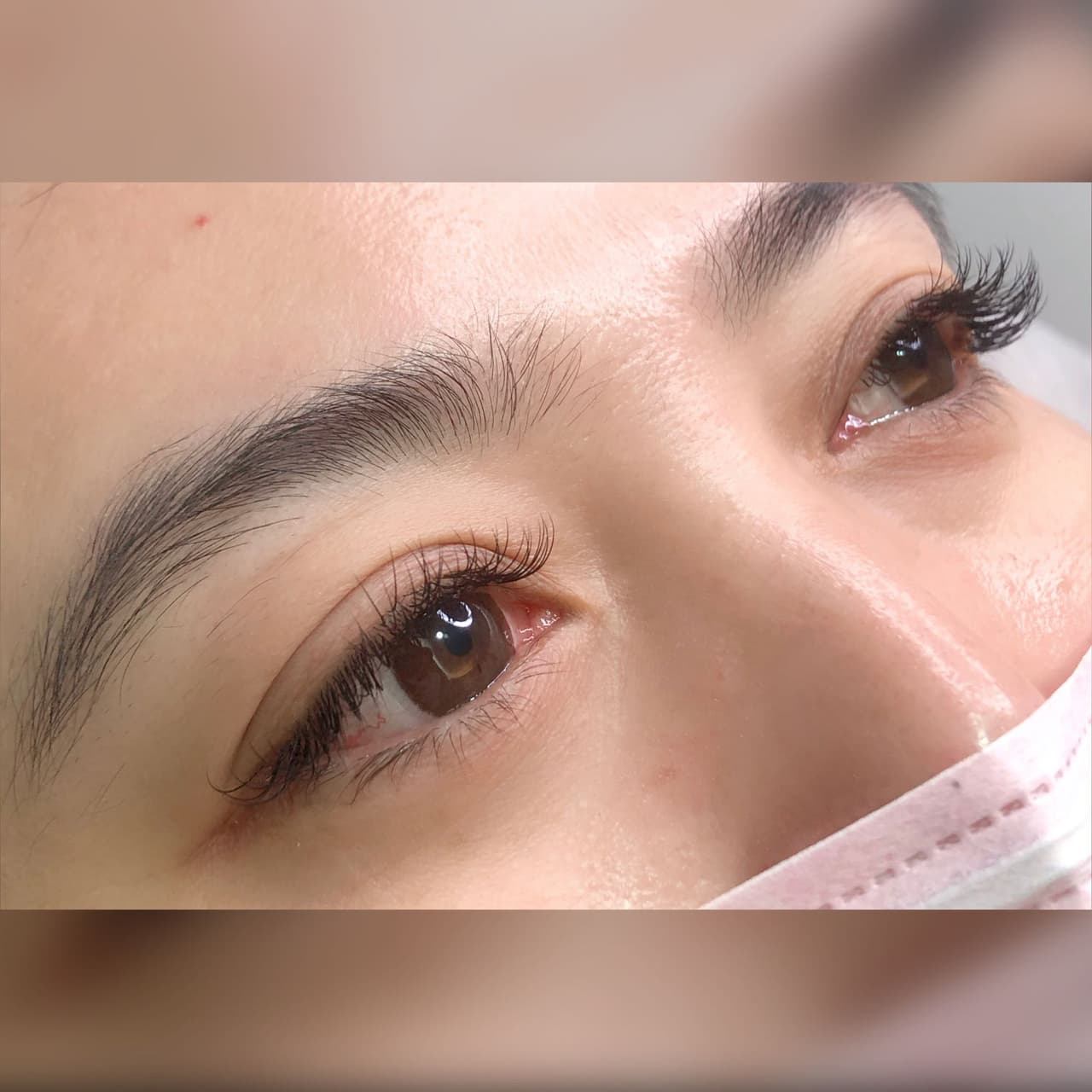 活動 台北徵美睫麻豆 免費 美妝板 Dcard