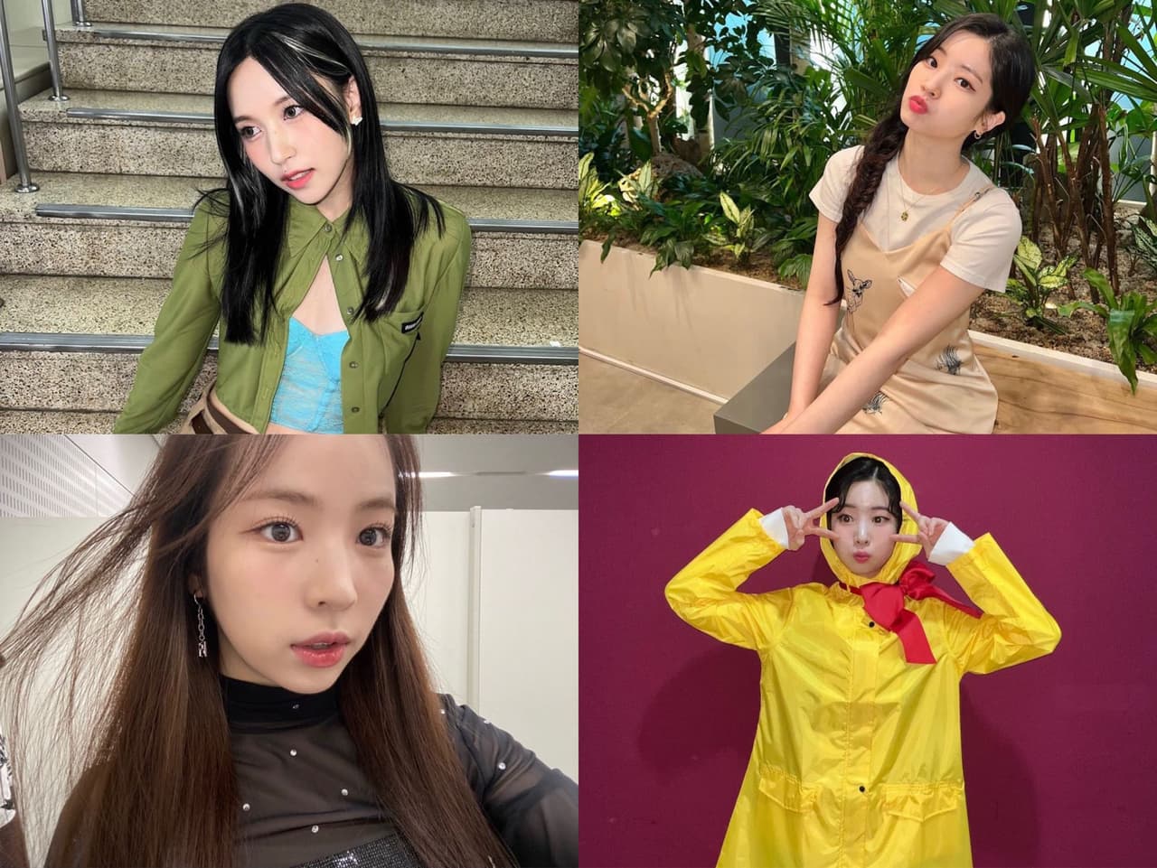 一些接歪批女團的MBTI&代表動物彙整 - ⠀ (@itztimefor_) | Dcard