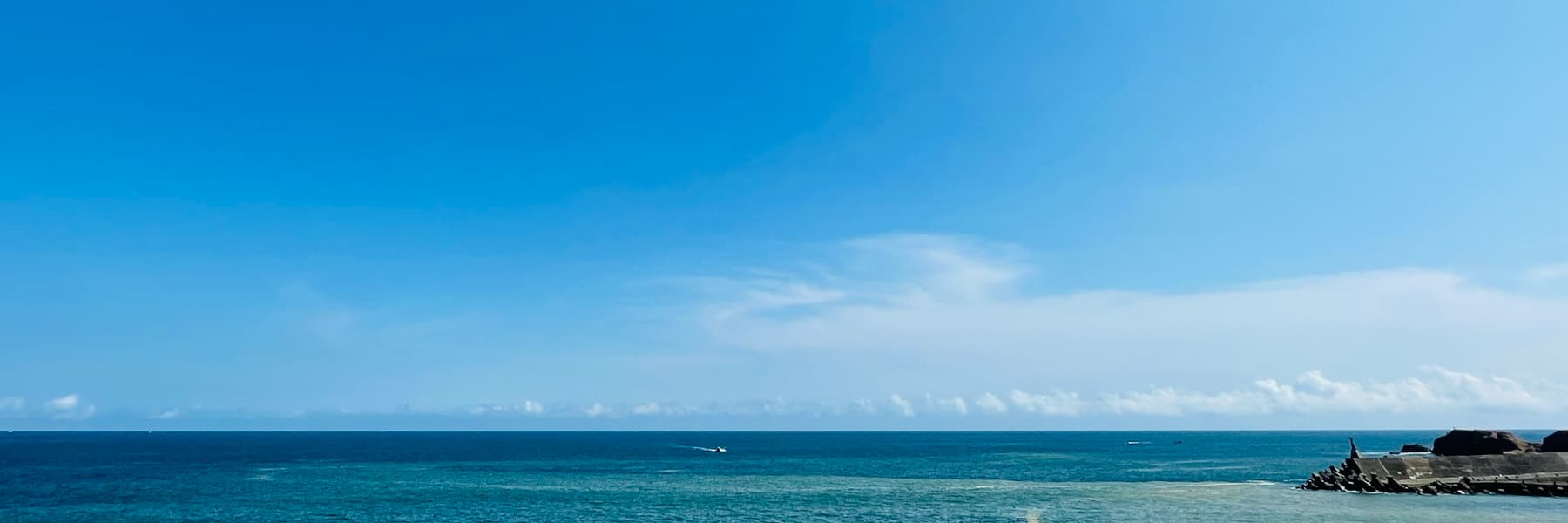 Anny 🐰 (@beautypig_07082) | Dcard