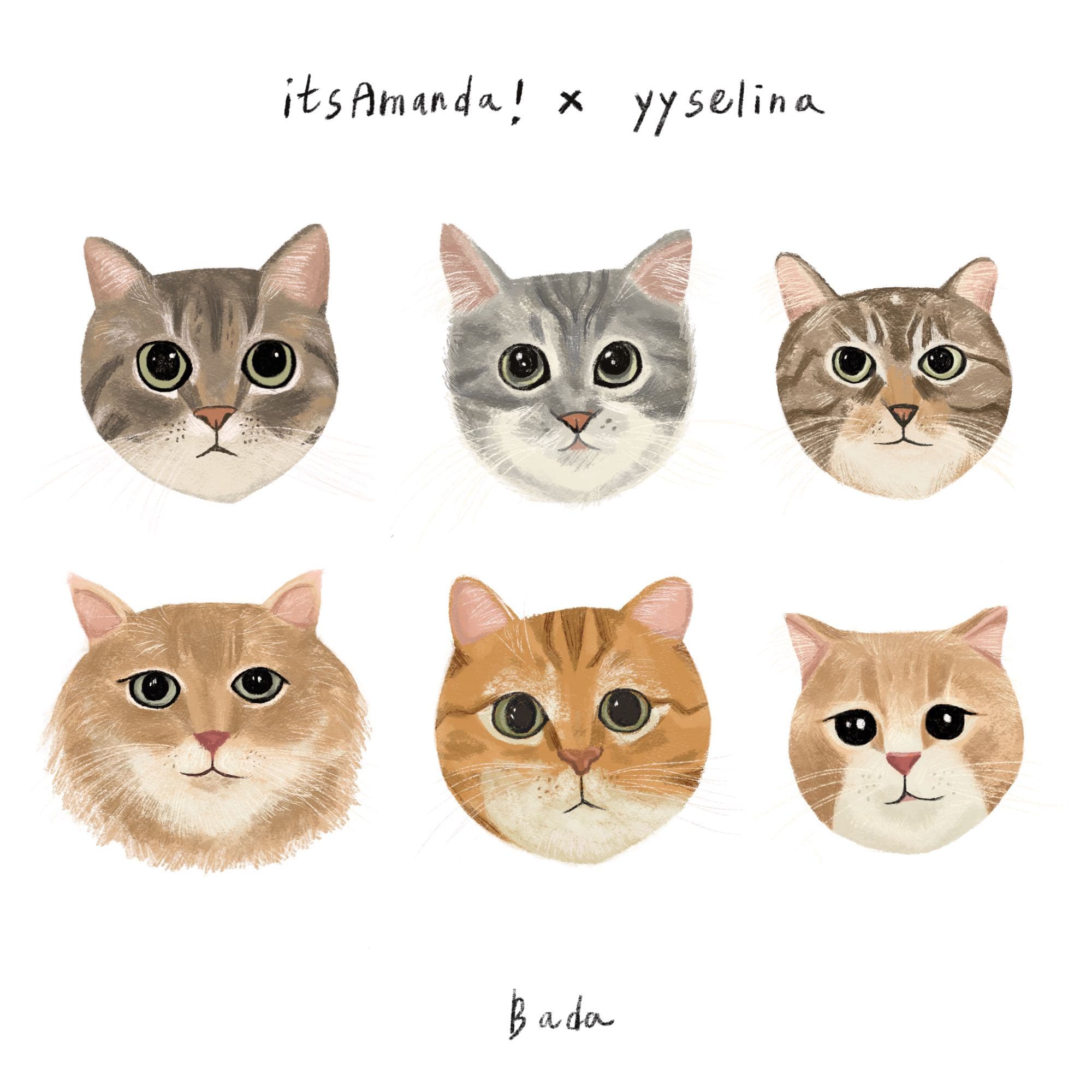 ItsAmanda! & yyselina 六貓合體 🧶 🐈 🇺🇸 - YouTuber板 | Dcard
