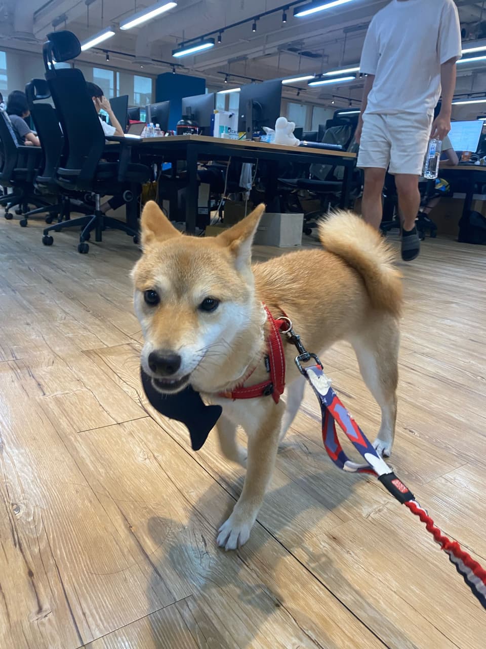 Xxxx - 影音 DEMO板 | Dcard