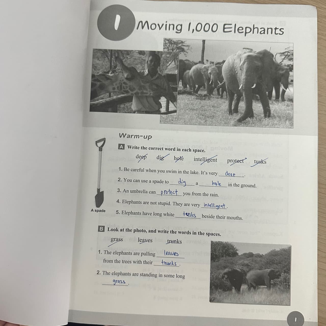 請問有人有reading coffee的二手書嗎 - 弘光科技大學板 | Dcard