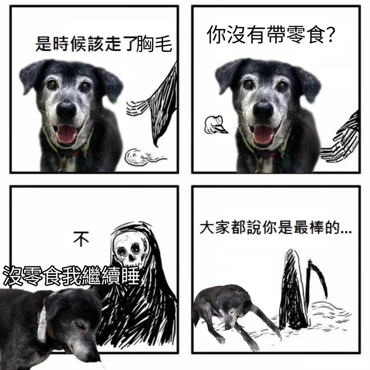 一些跟畢業生胸毛的回憶 - 隨便啦 (@berry__) | Dcard