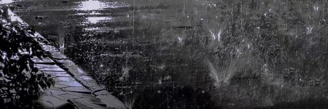 狸好嗎🦊 (@nalathefox) | Dcard