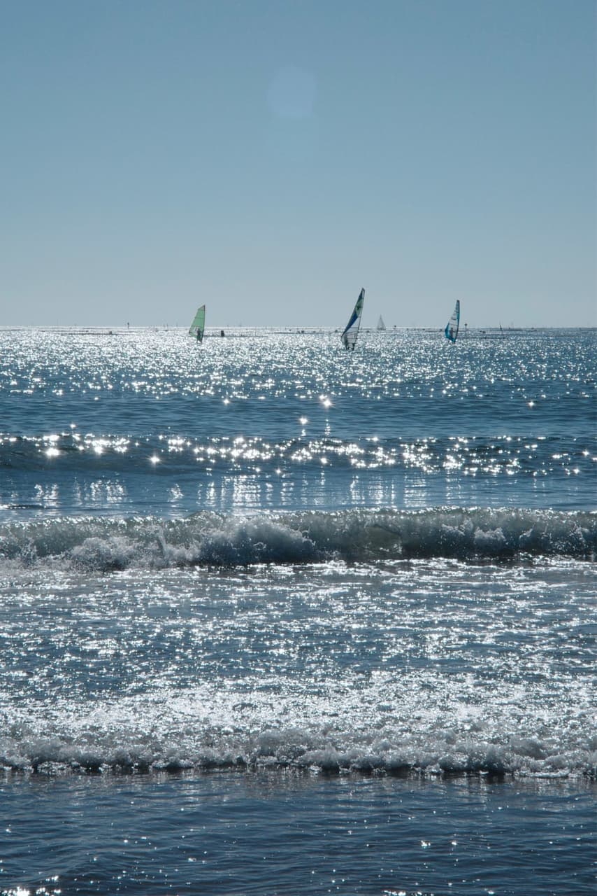 #作品 GR3x 新手首發 - 攝影板 | Dcard