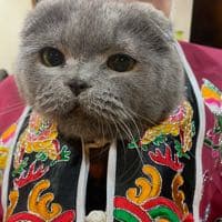 命玄/陰陽道師 (@ghostgod) | Dcard