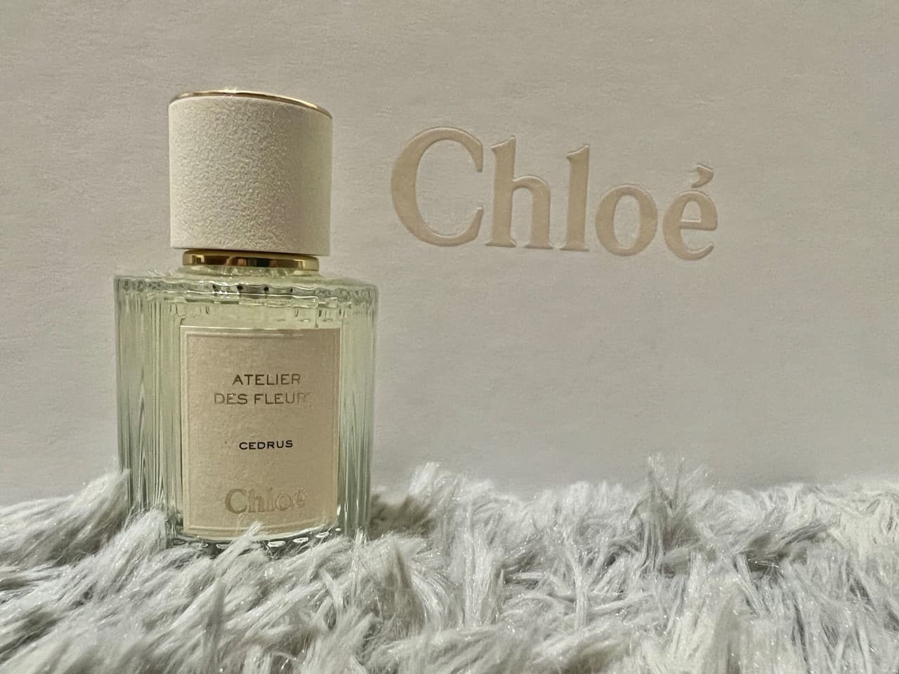 #開箱 #開箱 Chloe樂福鞋 - 精品板 | Dcard