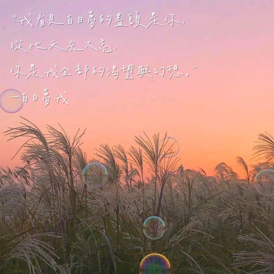 🌙每日書摘丨Ep5丨End - 914です (@luhan8891) | Dcard