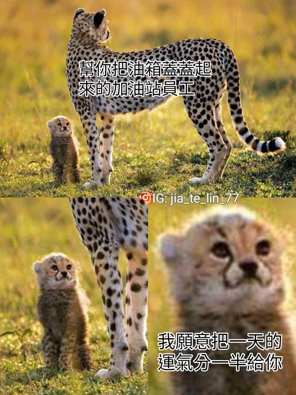 這個動作直接讓我戀愛了 梗圖板 Dcard