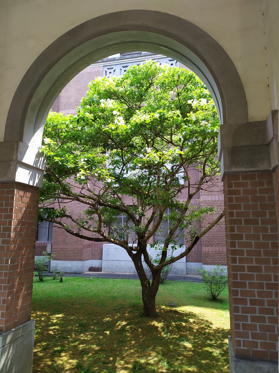 研究生 日常 臺灣大學板 Dcard