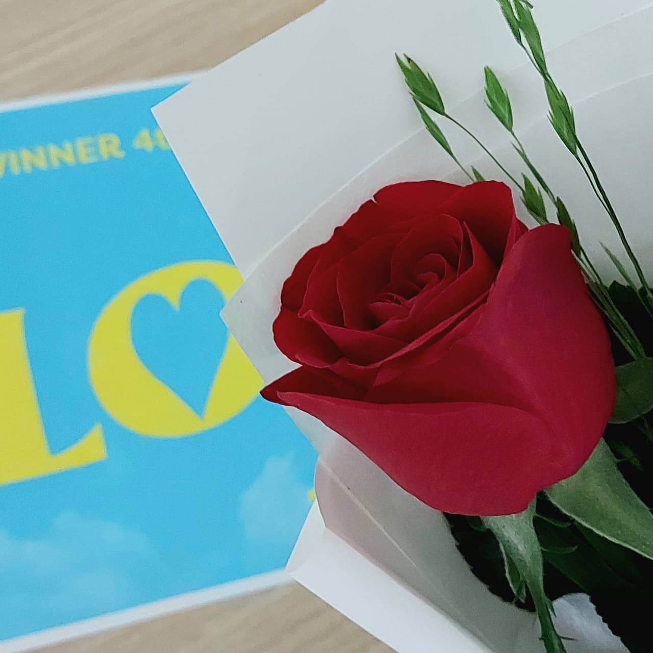 #分享 細數這個7月我和WINNER的7次見面🧜‍♀️（上） - 追星板 | Dcard