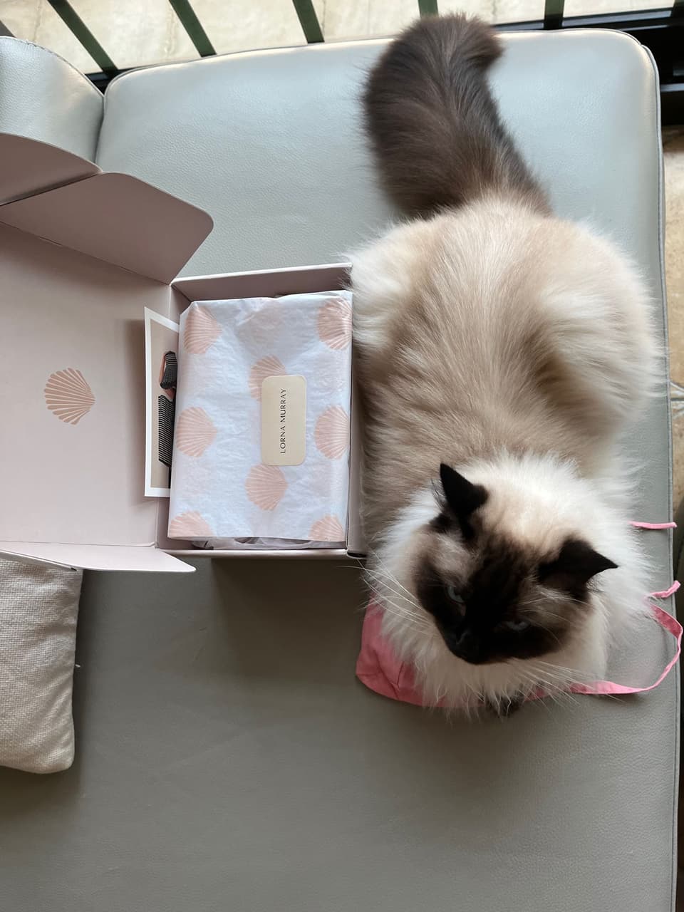 #開箱 Lorna Murray編織帽 - 自由媳 (@freeee_na) | Dcard