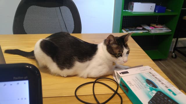 #資訊 【免費軟體工程師培訓】好想工作室 Backend Camp 招生 - 工作板 | Dcard