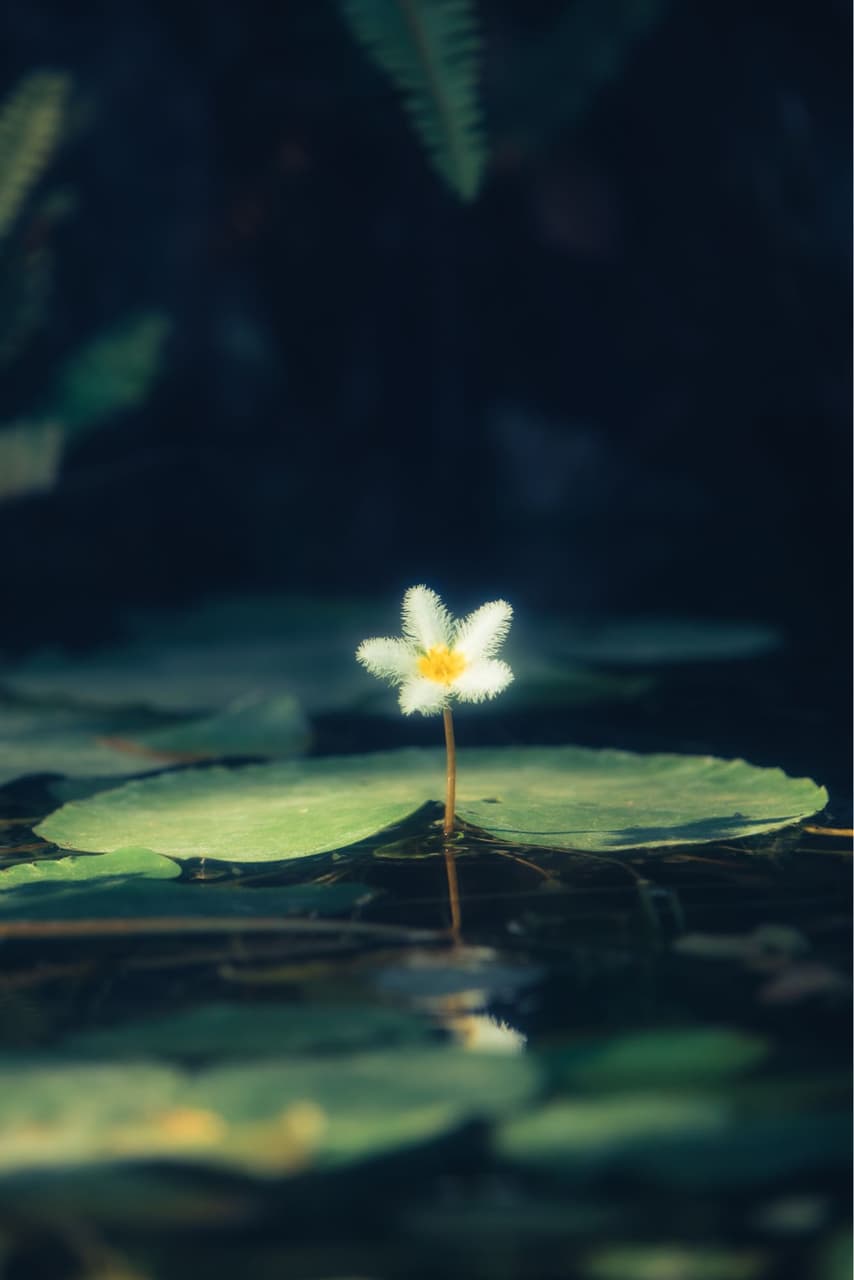 #作品 太認真參觀Xpark的結果⋯ - 攝影板 | Dcard