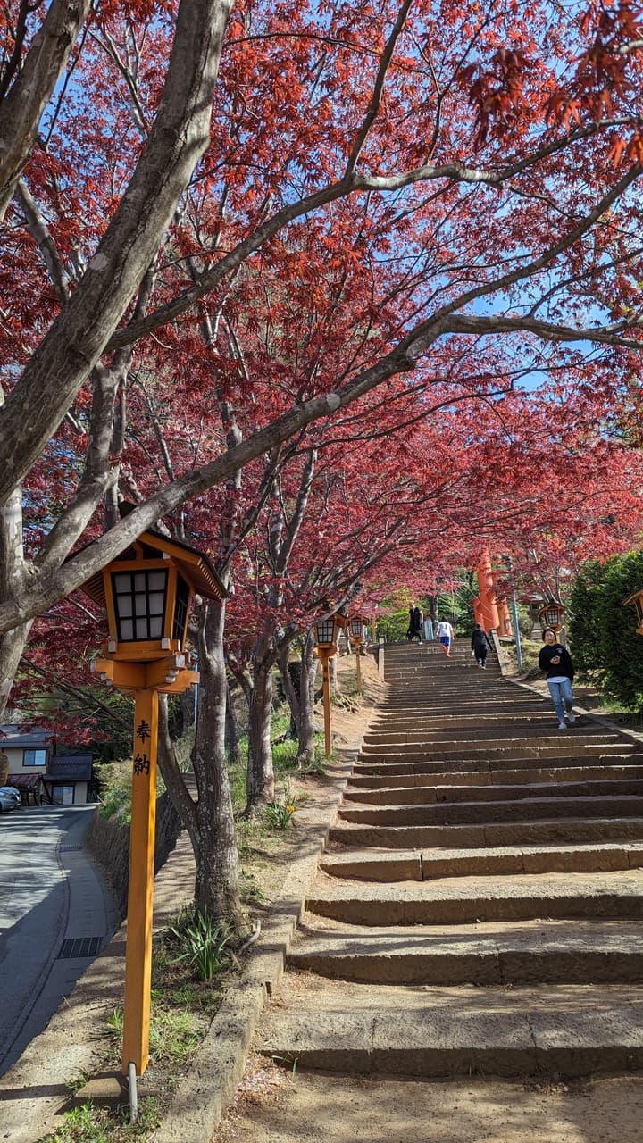 東京自由行 PART2 - 日本旅遊板 | Dcard